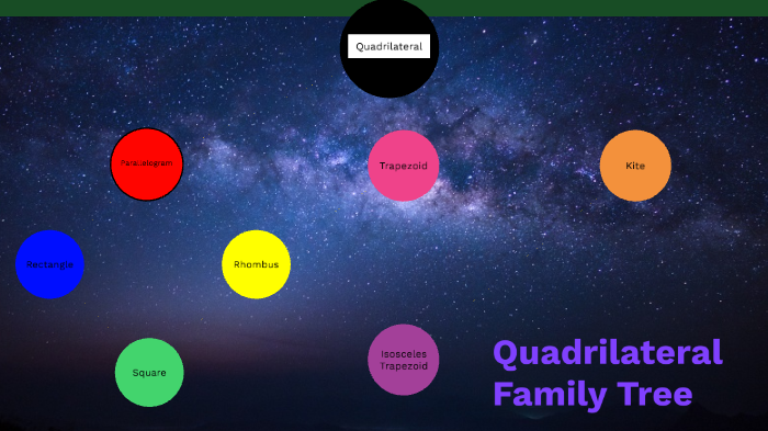 The Quadrilateral Family Tree by Sierra Heiner