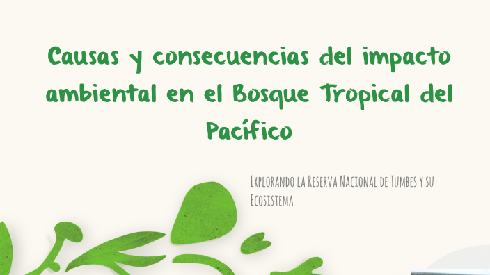 Causas y consecuencias del impacto ambiental en el bosque tropical del ...