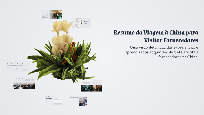 Resumo da Viagem à China para Visitar Fornecedores by Helen Macedo on Prezi