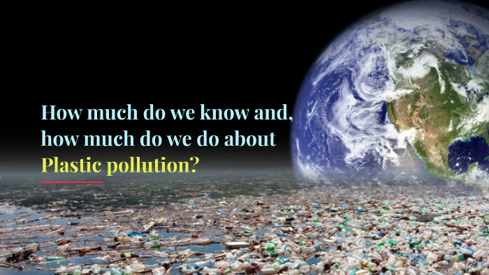 How much do we know and how much do we do about plastic poll by