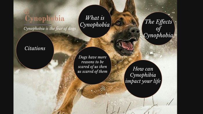 Cynophobia (fear of dogs) by KK Rurka on Prezi