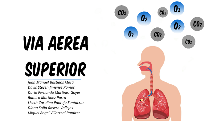 Vía aérea superior by Ramiro Martinez parra on Prezi