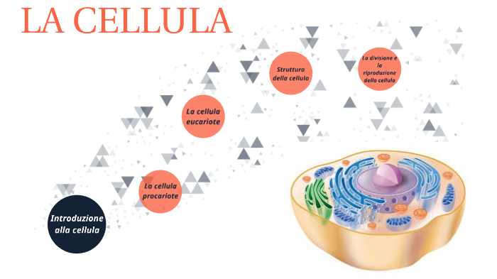 La cellula by graziana filomeno on Prezi