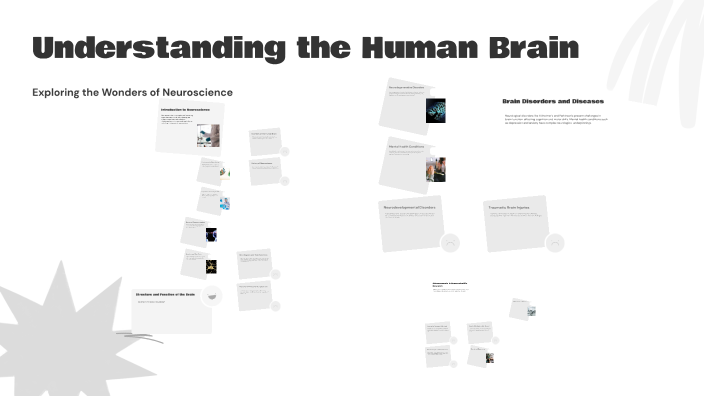 Understanding the Human Brain by Fofo Fo22 on Prezi