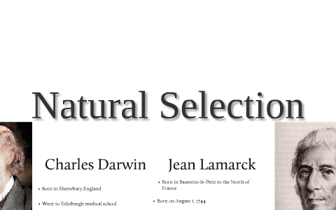 Natural Selection Project by amanuel mehari on Prezi