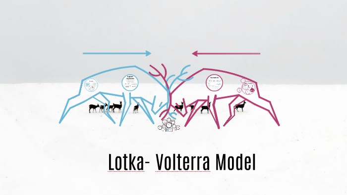 Lotka-Volterra Model by anshul shivhare on Prezi