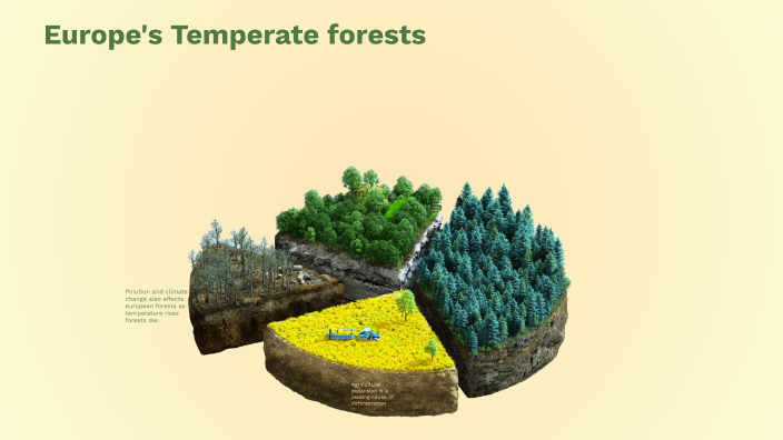 Europe's Temperate forests by James Forrest on Prezi