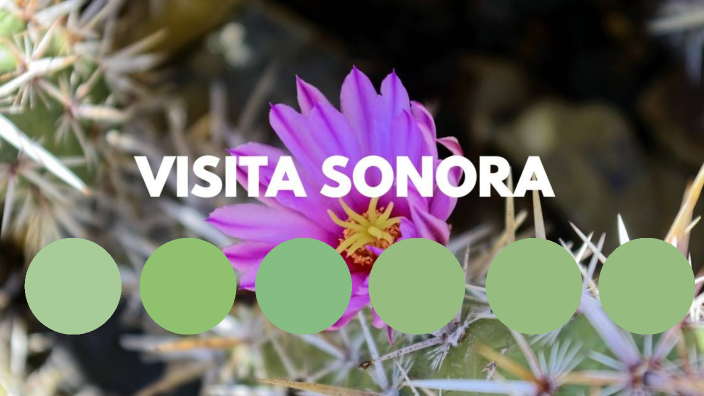 ELMR_ACT.4.1 by Emily Murrieta Romero on Prezi