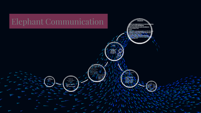 Elephant communication by Coral Dewane on Prezi