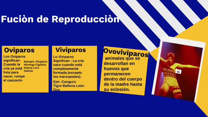 Función de reproducción by Silvana Jaramillo on Prezi