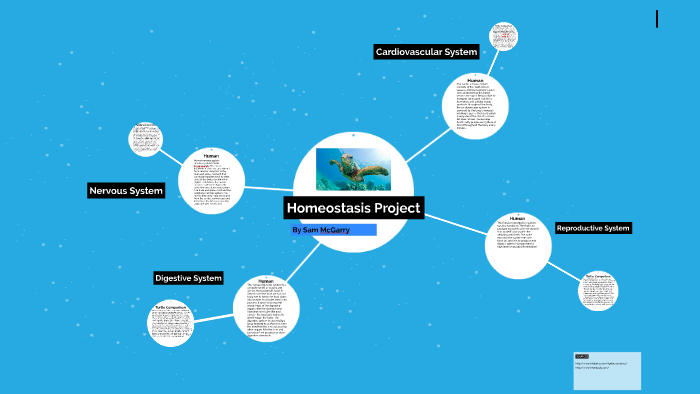 Homeostasis Project by Samuel McGarry on Prezi