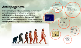 Antropogeneza by dominika kuczynska on Prezi