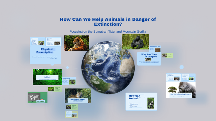 How Can We Help Animals in Danger of Extinction? by Adrián Páez Ruiz on ...