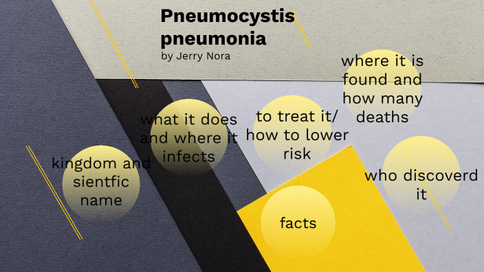 Pneumocystis pneumonia project by gerald nora on Prezi