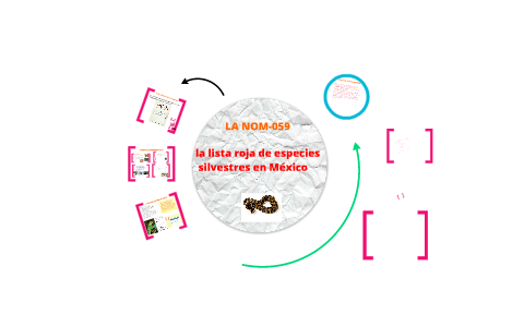 NOM-059-SEMARNAT by Luisa Dominguez on Prezi