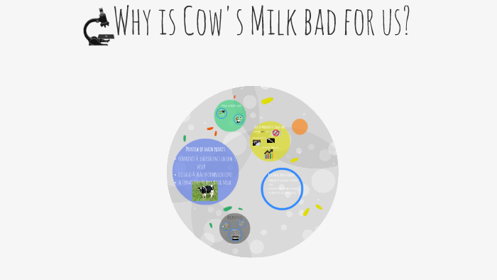 Why is Cow's Milk bad for us? by Carlyn Powell on Prezi