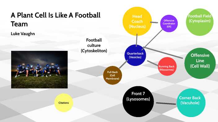 A Cell Is Like A Football Team by Luke Vaughn on Prezi