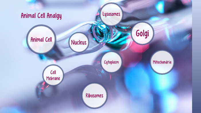Animal Cell Analogy by Macy Mauch on Prezi