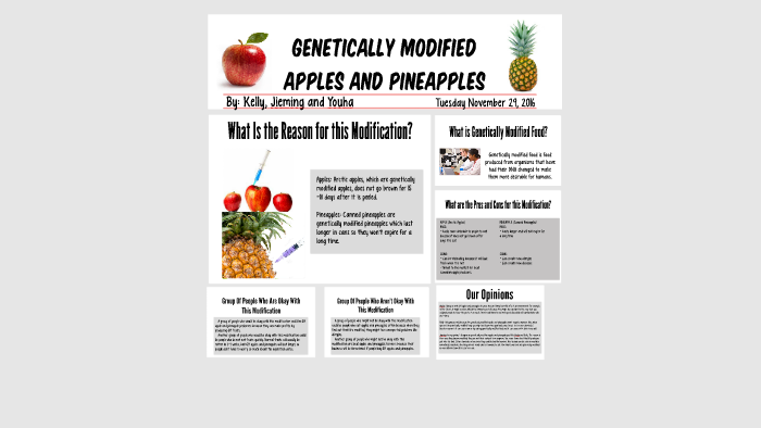 Genetically Modified Apples & Pineapples by Sunggon Kim on Prezi