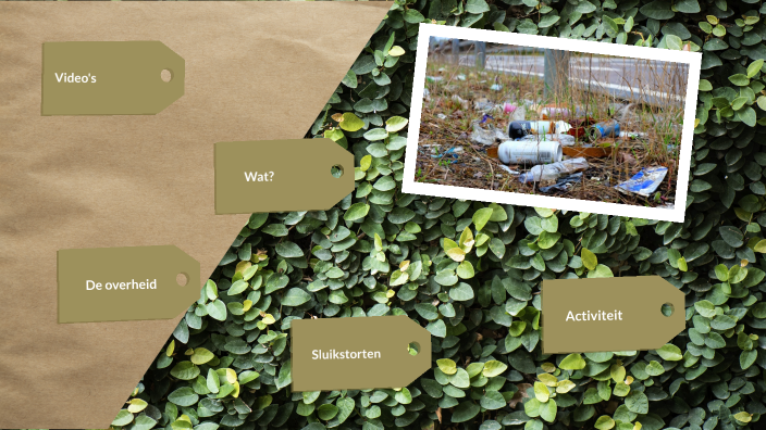 Les zwerfvuil by Shauny Guilini on Prezi