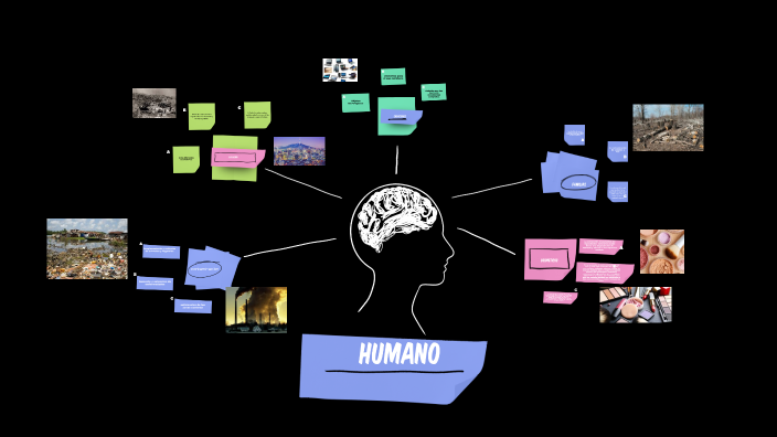 Humano by Polet Alejandra Cáceres Pineda on Prezi