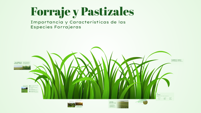 Forraje y Pastizales by Stefania Castillo on Prezi