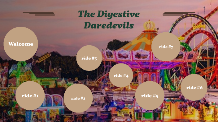 Digestive System Theme Park by Cassidy Narangi on Prezi