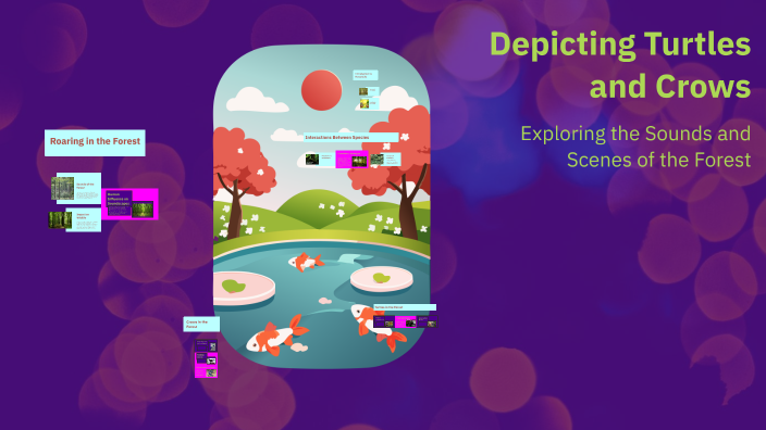 Depicting Turtles and Crows by Mohadese Mehrabadi on Prezi