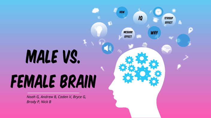 Male vs Female Brain by Noah Gailey on Prezi