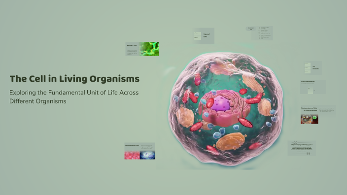 The Cell in Living Organisms by ساره علي on Prezi