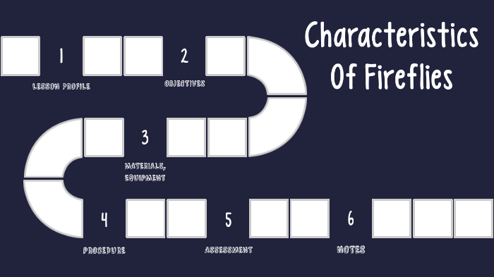 Characteristics Of Fireflies by 가율 김 on Prezi