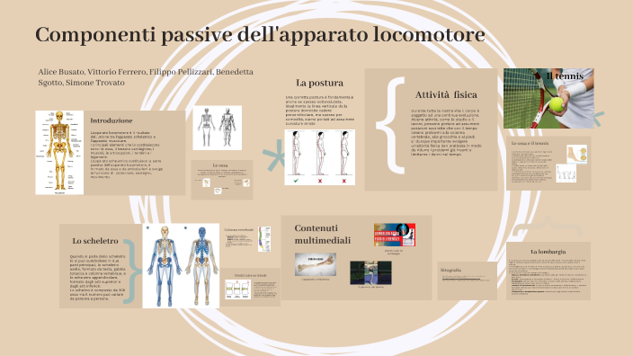 Passive Components of the Musculoskeletal System by Benedetta Sgotto on ...