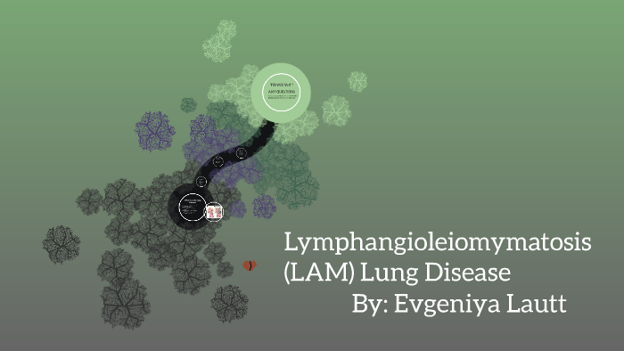 Lymphangioleiomymatosis (LAM) Lung Disease by evgeniya lautt on Prezi