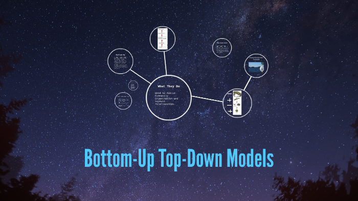 Bottom-Up Top-Down Models by L.J. Wagenaar on Prezi