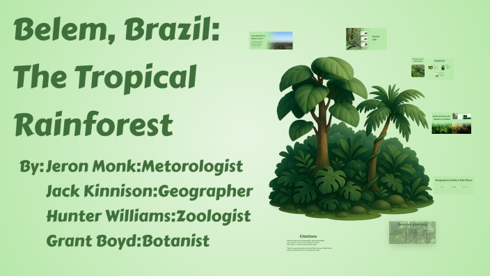 Belem, Brazil: The Tropical Rainforest by Jack Kinnison on Prezi