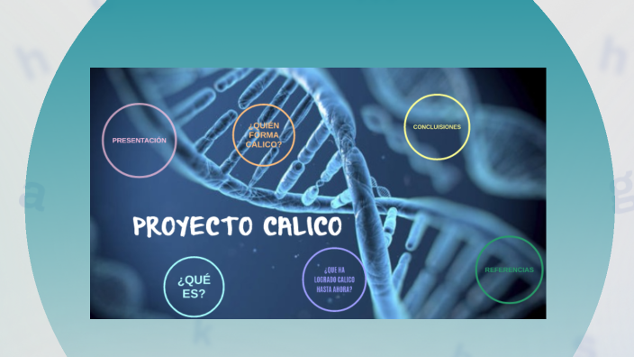 Proyecto Calico by Gil Romo by GILBERTO ALEJANDRO ROMO CARRILLO on Prezi