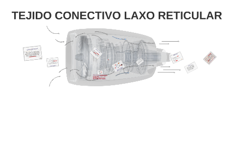 TEJIDO CONECTIVO LAXO RETICULAR by Cristian Paez on Prezi