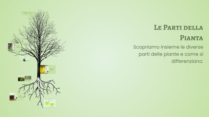 Le Parti della Pianta by ilaria roveri on Prezi