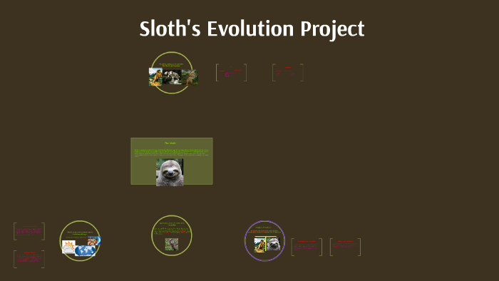 Evolution of sloths by Ddoge martini on Prezi