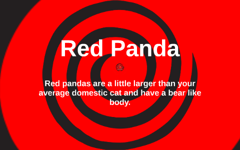Red Panda by riley nerdstrom on Prezi