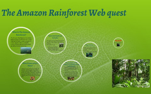 The Amazon Rainforest Webquest by Kaylene Tan on Prezi