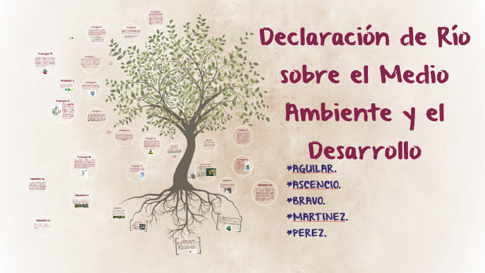 Declaración de Río sobre el Medio Ambiente y el Desarrollo by miriam ...