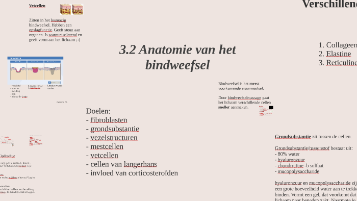 3.2 Anatomie van het bindweefsel by Agnes van Dijk on Prezi