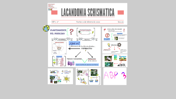 LACANDONIA SCHISMATICA by Maria Pizarro Cardenas on Prezi