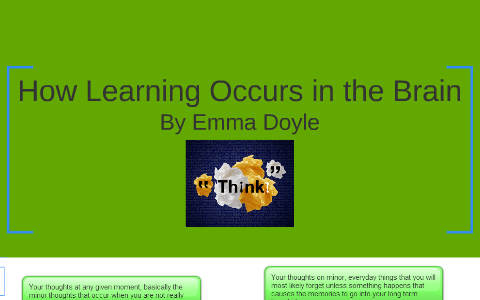 How Learning Occurs in the Brain by on Prezi