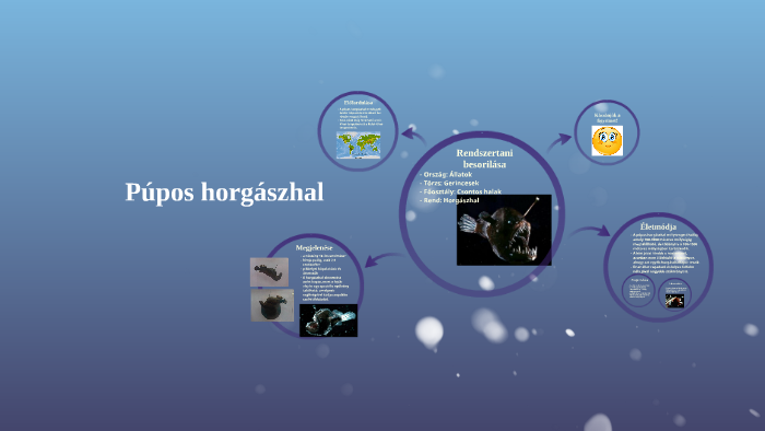 Púpos horgászhal by Ilona Szabó on Prezi