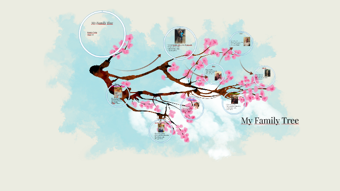 My Family Tree by Brooke Finley on Prezi