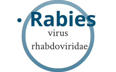 Rabies by nathan radtke