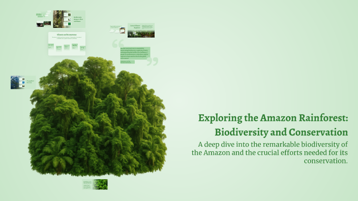 Exploring the Amazon Rainforest: Biodiversity and Conservation by bob ...