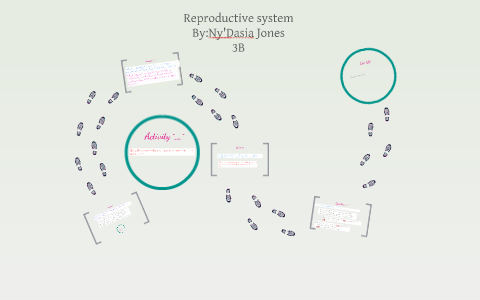 Reproductive system by Ny'dasia Jones on Prezi